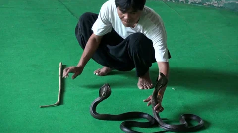 Asian Guys Bites Stock Video Footage | Royalty Free Asian Guys Bites ...