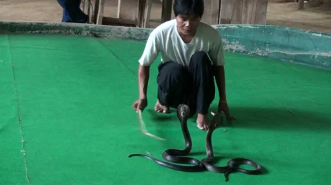 It Guy Hypnotized Stock Video Footage | Royalty Free It Guy Hypnotized ...