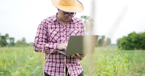 Filed Data Stock Videos – Royalty-Free HD & 4K Videos