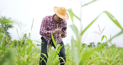 Filed Data Stock Videos – Royalty-Free HD & 4K Videos