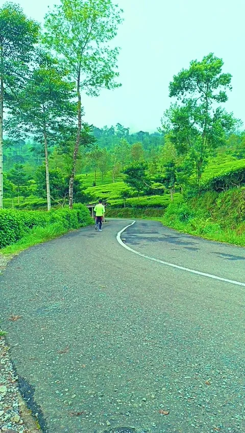 Asian Asphalt Stock Videos – Royalty-Free HD & 4K Videos | Pond5