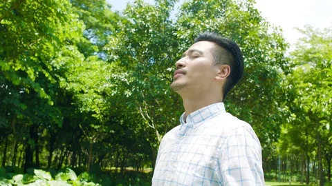 Deep Breath Nature Stock Videos – Royalty-Free HD & 4K Videos