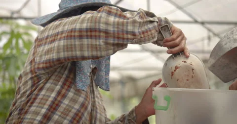 Asian Scoop Stock Videos – Royalty-Free HD & 4K Videos | Pond5