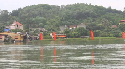 Dragon Head Drawing Stock Videos – Royalty-Free HD & 4K Videos