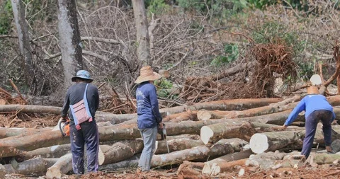 Asia Industrial Stock Video Footage | Royalty Free Asia Industrial ...