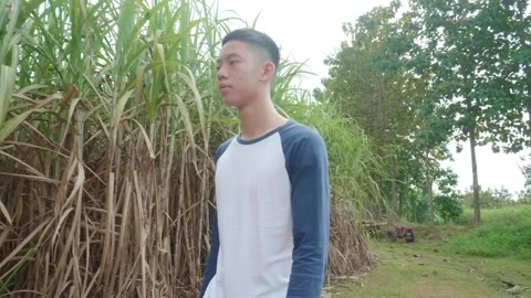 Asian teenage boy Walk in a garden or a ... | Stock Video | Pond5
