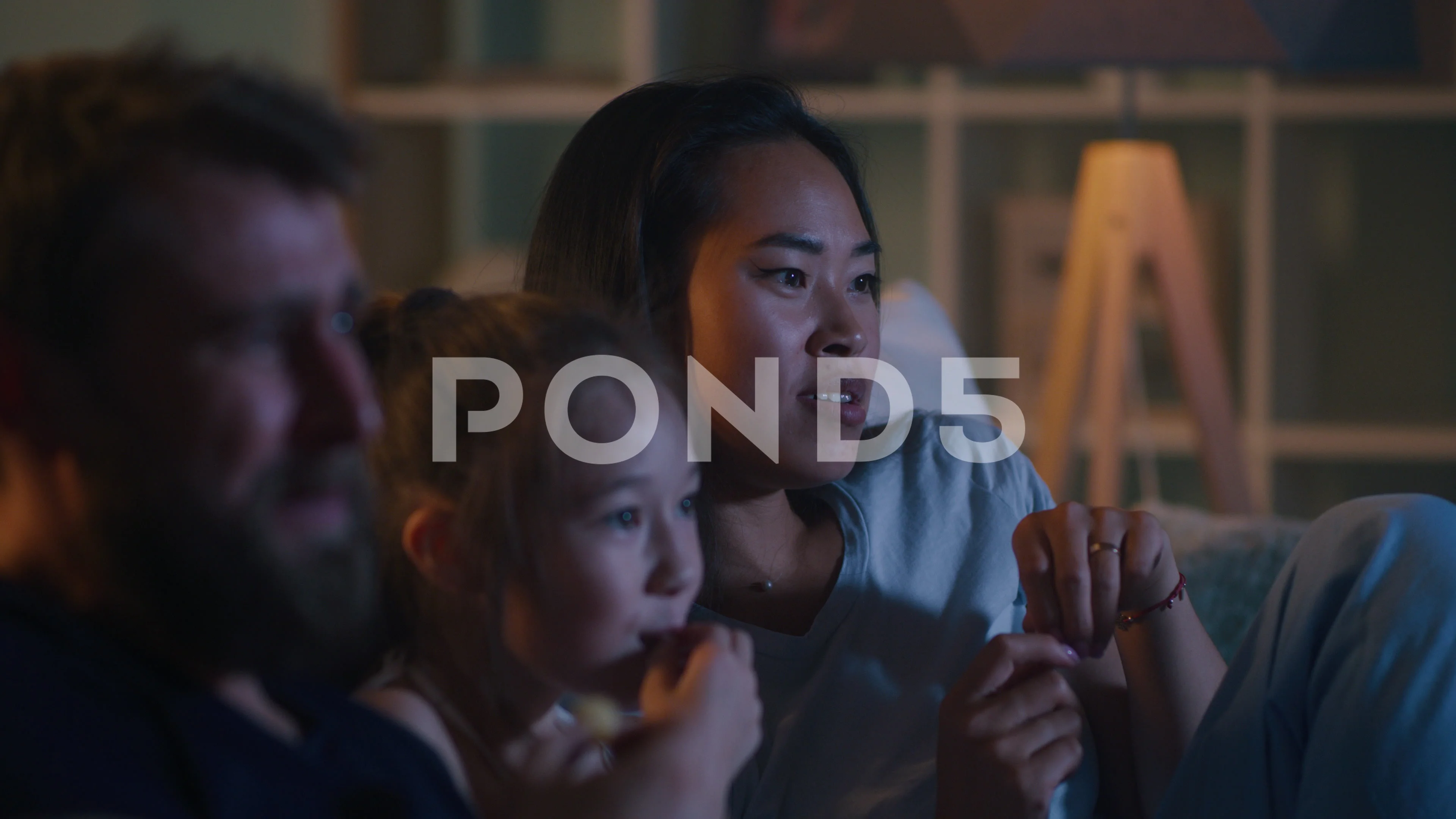 Woman Watching Tv At Night