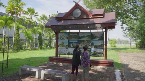 Board For Pictures Stock Videos – Royalty-Free HD & 4K Videos