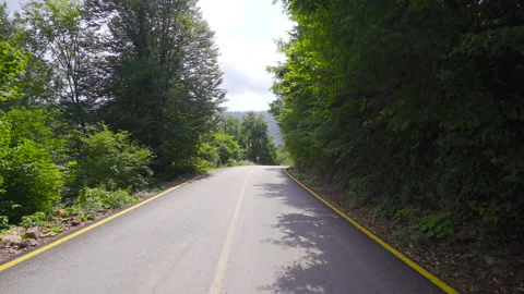Asphalt smooth curved road in the forest... | Stock Video | Pond5