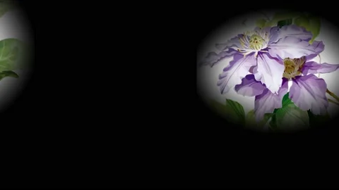 Pictures Of Animation Stock Videos – Royalty-Free HD & 4K Videos | Page 7