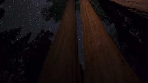 Astro Timelapse Low Angle of Night Sky o... | Stock Video | Pond5