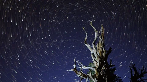 Odlest Star Stock Videos – Royalty-Free HD & 4K Videos