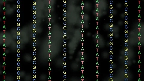 Nucleobase Stock Footage ~ Royalty Free Stock Videos | Pond5