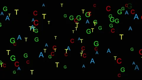 ATCG four basic nucleotides in DNA movin... | Stock Video | Pond5