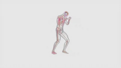 Athlete X-Ray Boxing, Side View, Seamles... | Stock Video | Pond5