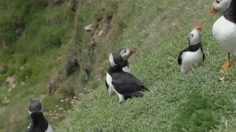 Q Stock Videos – Royalty-Free HD & 4K Videos | Pond5