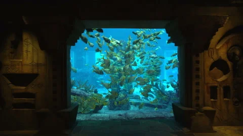 Atlantis Resort aquarium window - Nassa... | Stock Video | Pond5