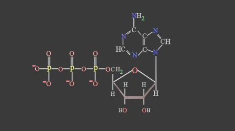 Forw Adp Stock Videos – Royalty-Free HD & 4K Videos