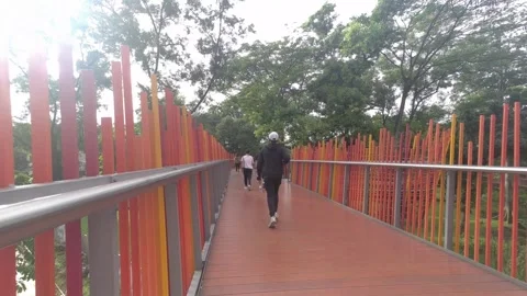 Black Man Ray Stock Videos – Royalty-Free HD & 4K Videos | Page 5