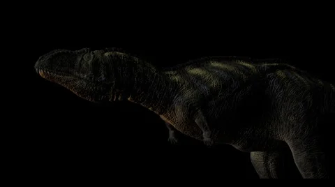 Dinosaur Transparent Background Stock Footage ~ Royalty Free Stock ...