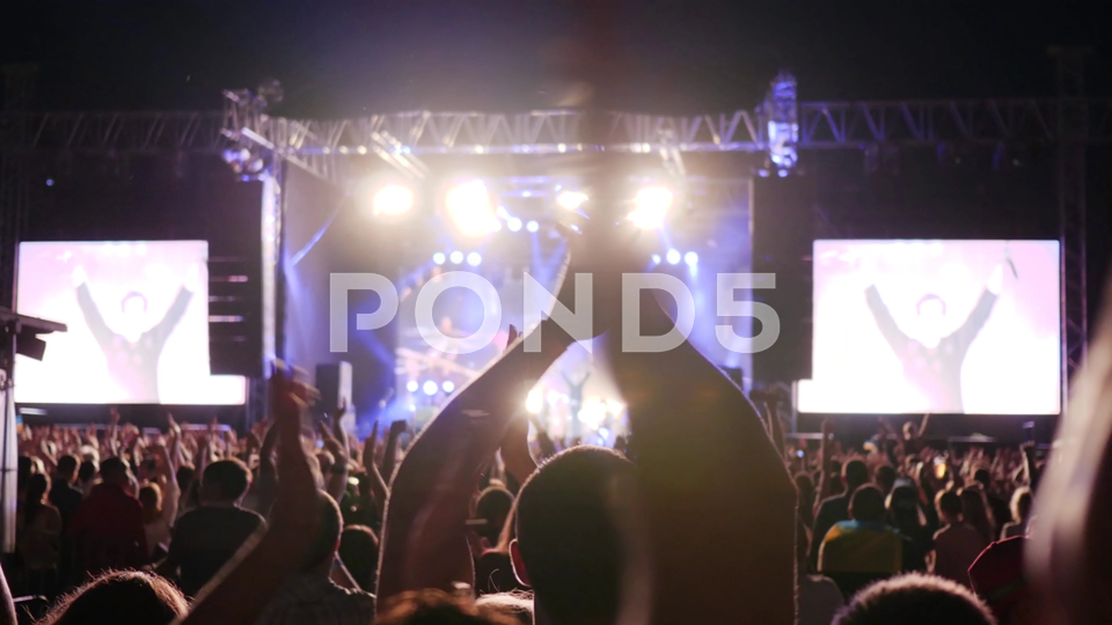 Rock Concert Crowd Stage View