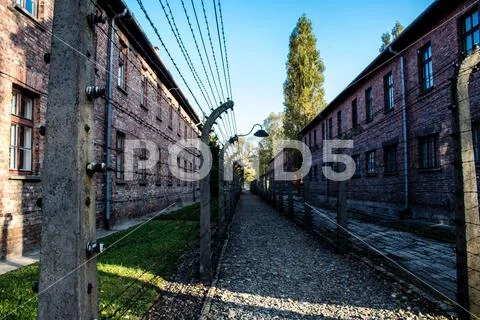 Auschwitz, the largest concentration camp complex in the Third Reich ...