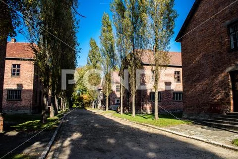 Auschwitz, the largest concentration camp complex in the Third Reich ...