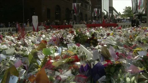 Continue The Scene Stock Videos – Royalty-Free HD & 4K Videos | Pond5