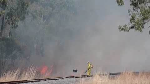 Australian fire fighter fight bushfire i... | Stock Video | Pond5