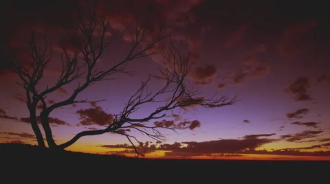 Australian Outback Stock Footage ~ Royalty Free Stock Videos | Pond5