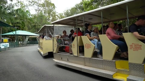 Australian Zoo Africa Safari Shuttle - T... | Stock Video | Pond5