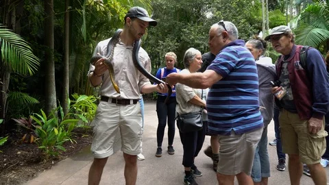 Handling Snakes Stock Footage ~ Royalty Free Stock Videos | Pond5