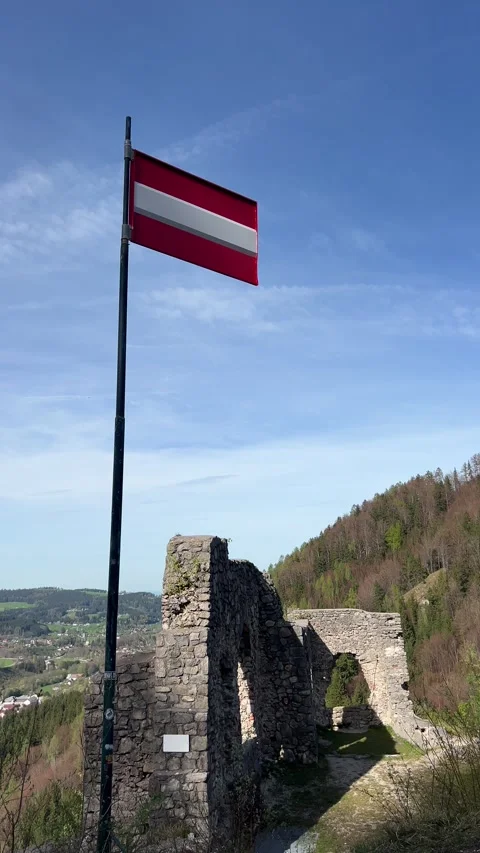 Medieval Castle Flag