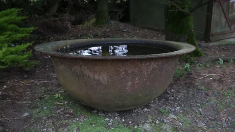 Authentic large metal Irish famine pot | Stock Video | Pond5