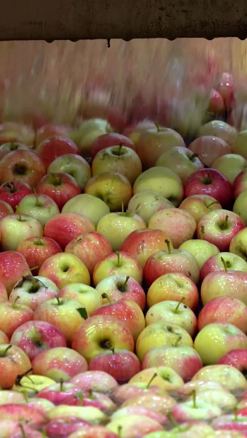 Washing Plant Stock Video Footage | Royalty Free Washing Plant Videos ...
