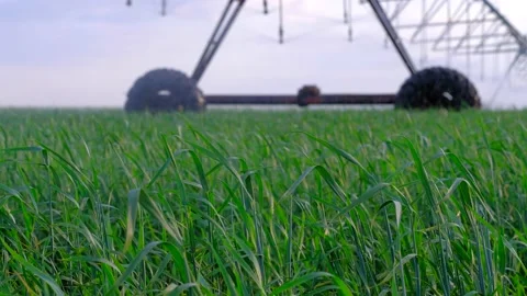 Automated irrigation system | Stock Video | Pond5