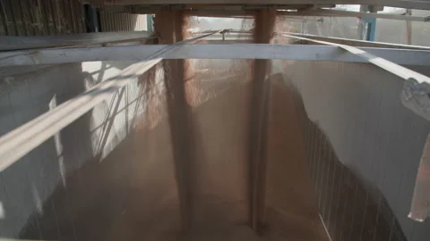 automated process of filling a container... | Stock Video | Pond5