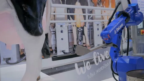 Automatic milking robot arm machine at c... | Stock Video | Pond5