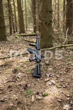 Photograph: Automatic rifle m16 lying on the ground in the forest, lies ...