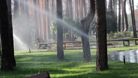 automatic sprinkler system watering the ... | Stock Video | Pond5