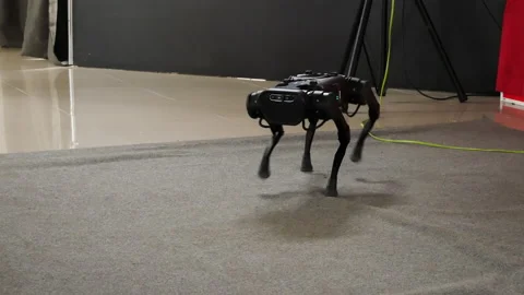 Autonomous robot dog with artificial int... | Stock Video | Pond5
