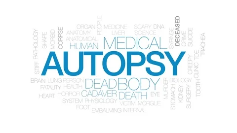 Autopsy Stock Videos – Royalty-Free HD & 4K Videos | Page 8
