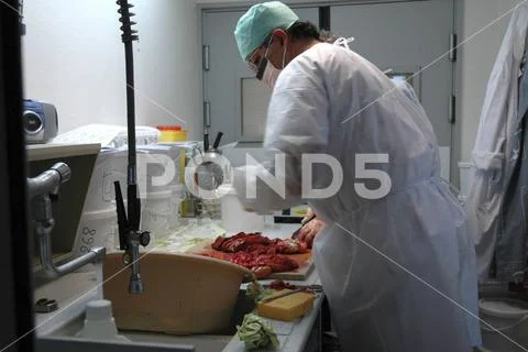 Autopsy Hospital. Forensic medicine. Autopsy room. Anatomical ...