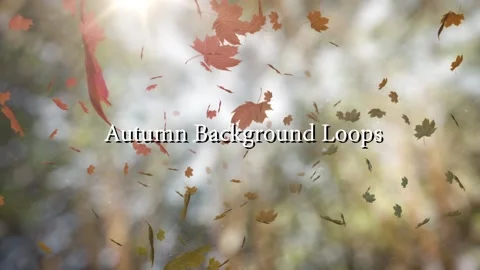 Autumn Background Loops ~ After Effects Template #142113936