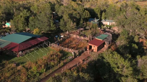 Autumn Fields Stock Videos – Royalty-Free HD & 4K Videos