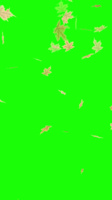 Fall Leaves Animation Green Screen Stock Video Footage | Royalty Free ...