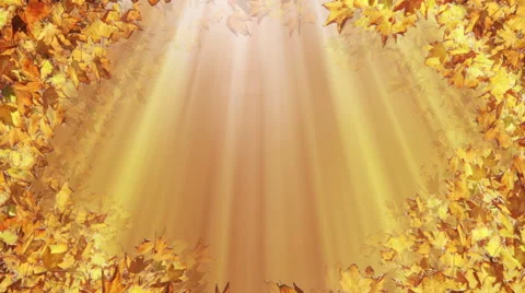 Autumn foliage background loop animation | Stock Video | Pond5