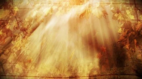 Autumn foliage background loop animation | Stock Video | Pond5