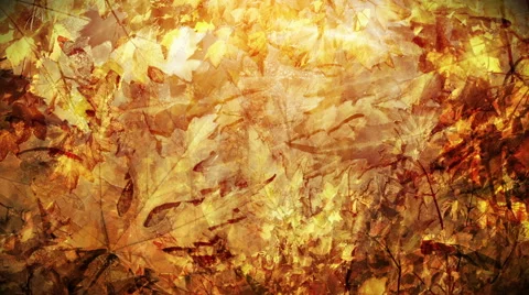 Autumn foliage background loop animation | Stock Video | Pond5