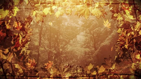 Autumn foliage background loop animation | Stock Video | Pond5